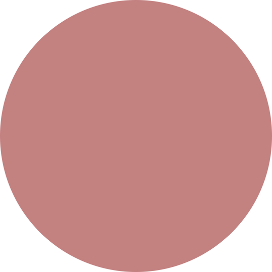 Lipstick Matte Bisque – I Am Natural Store